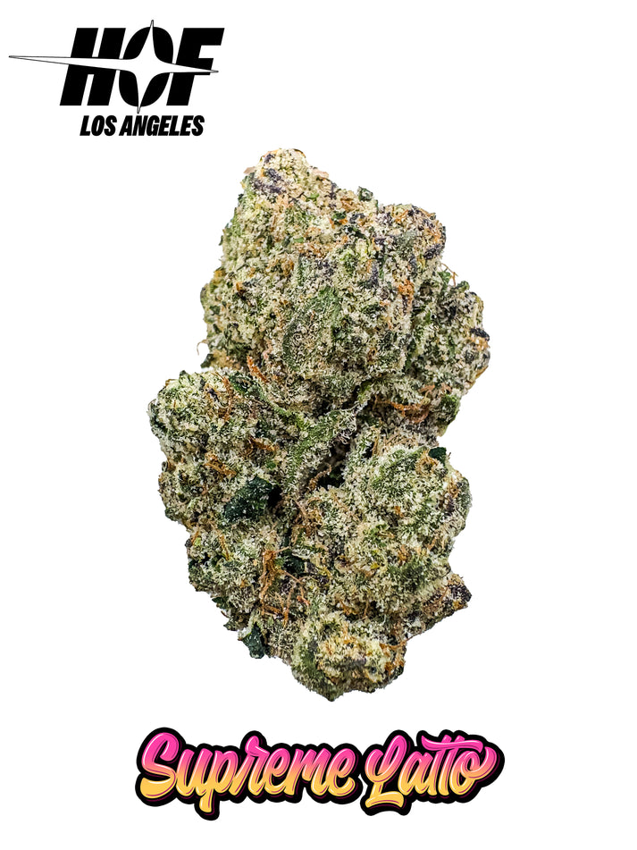 BULK - SUPREME LATTO - EXOTIC THCA FLOWER – Haus Of Flowers
