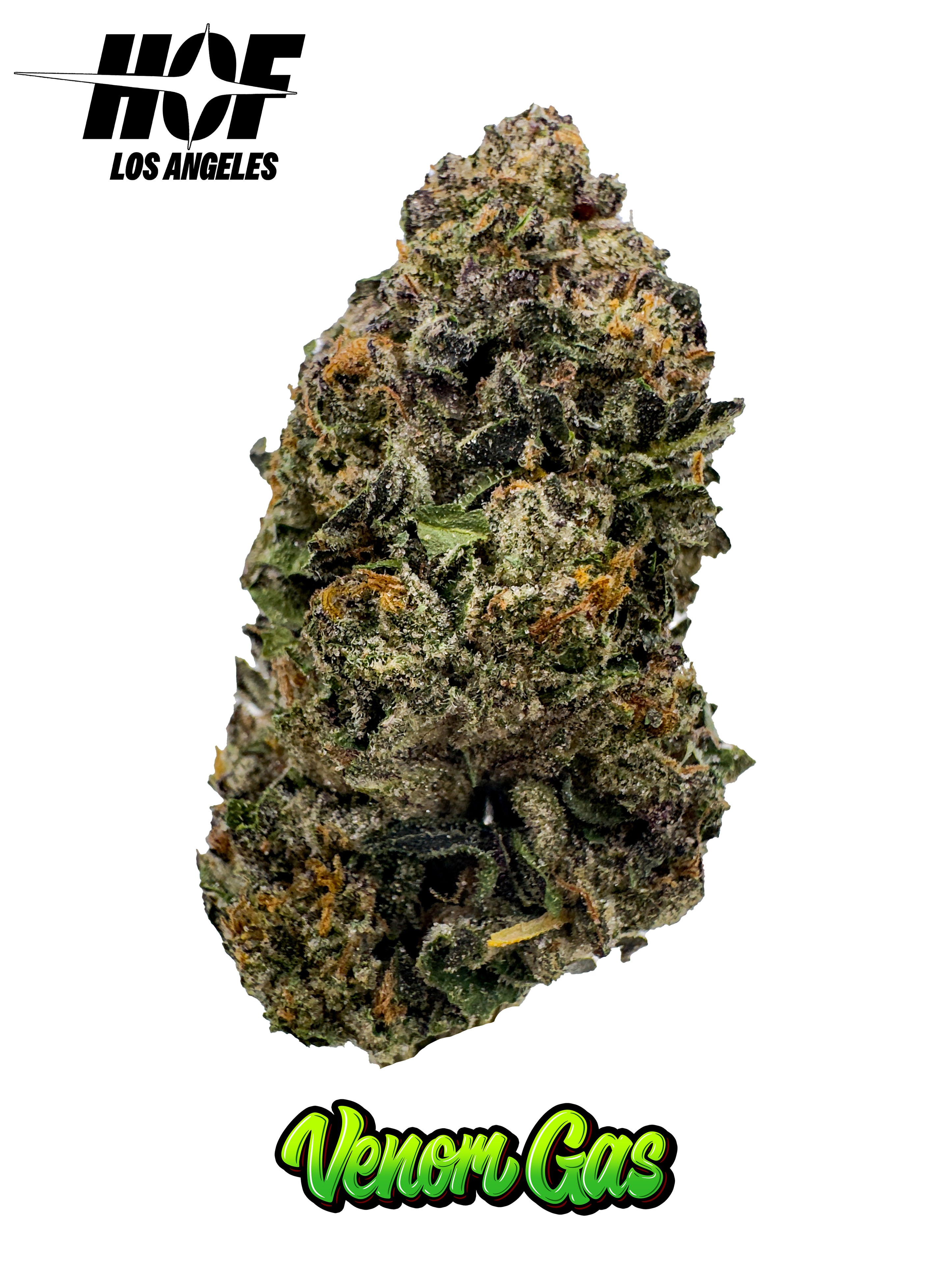 BULK - VENOM GAS - PREMIUM THCA FLOWER – Haus Of Flowers